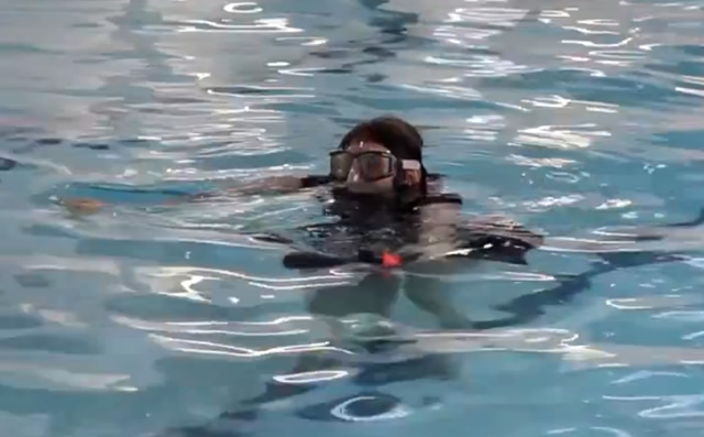 Metamorphoses, Part 2: The Pool | National Arts Centre